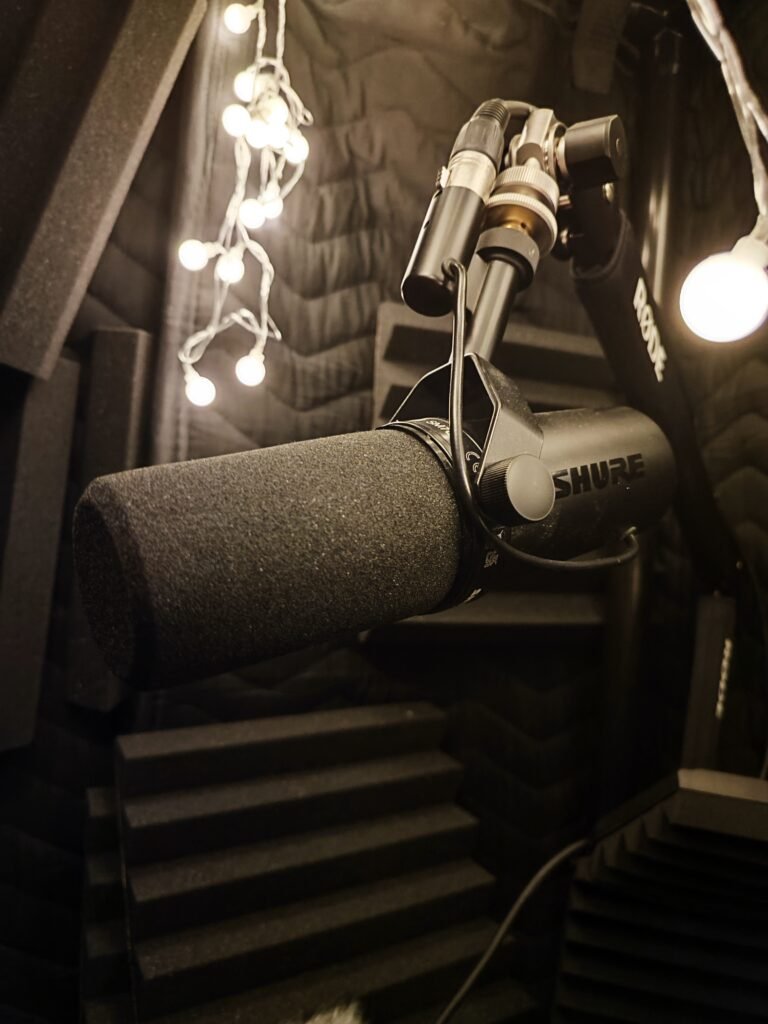 100 Word Professional Voice Recording - Write Hook
